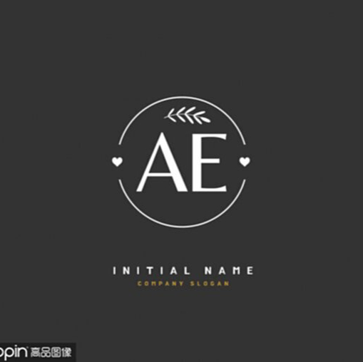 AEPR教程-百柯 