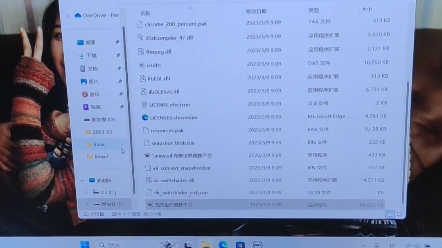 完美世界平台打不开 有没有知道这个的朋友说一下咋回事呀