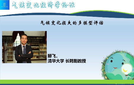 气候变化损失的多模型评估