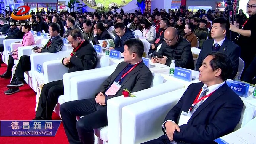 德昌县2019年文旅康养专题投资推介会圆满举行