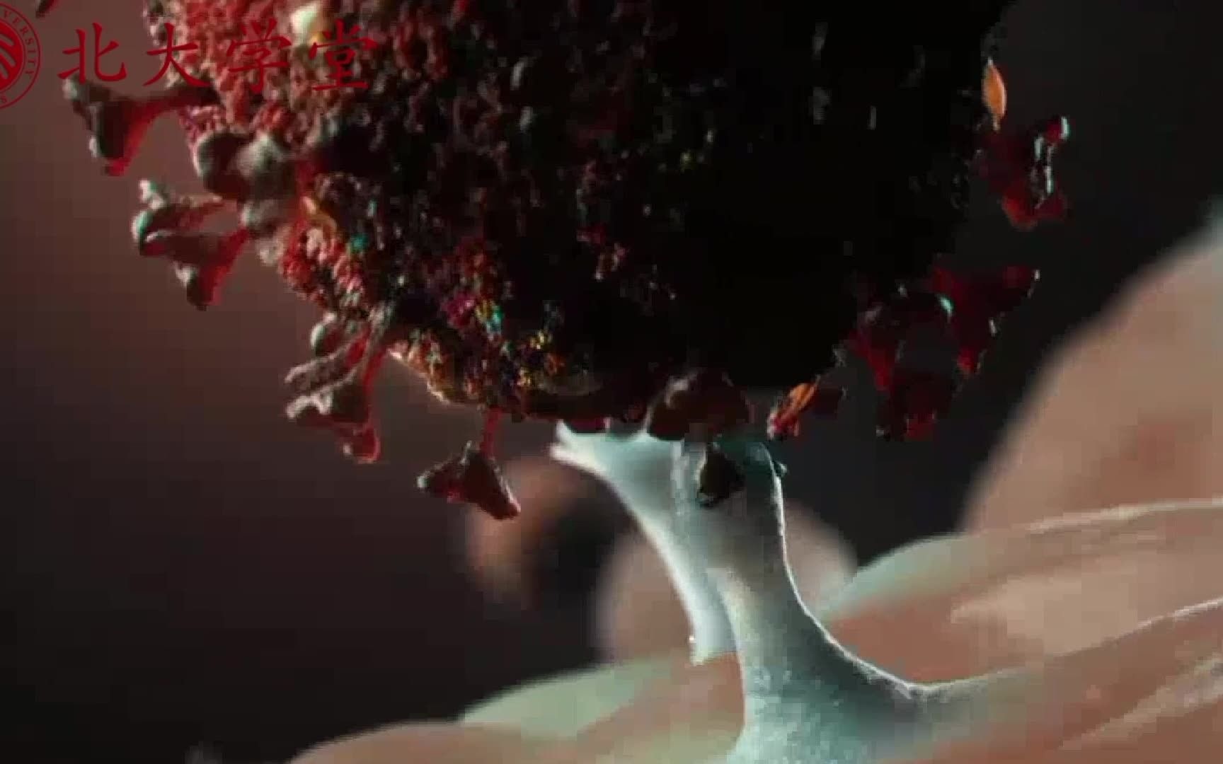 北大老师讲解新冠病毒入侵身体健康细胞全程!