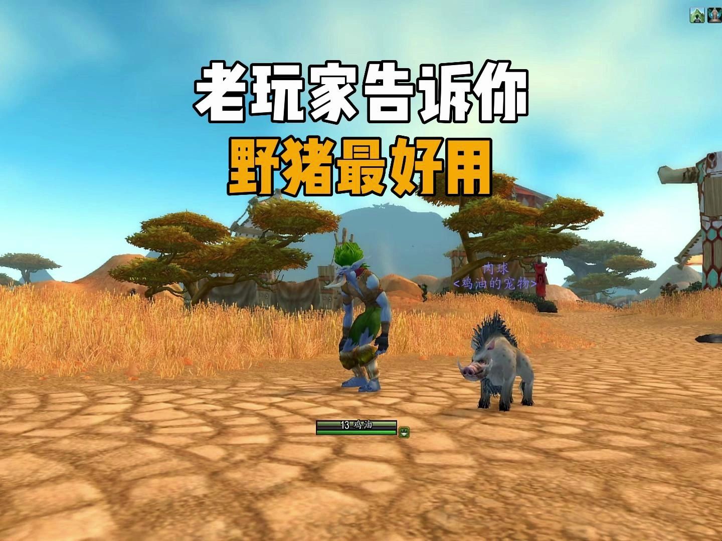 一命模式野猪最好用 猎人宠物攻击宏使用方法 魔兽世界专家模式_游戏...