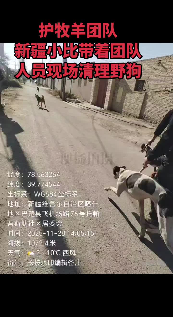 #巨量算数 #上热门ߔ� #正能量分享 #护牧羊团队#被野狗伤害老年人...