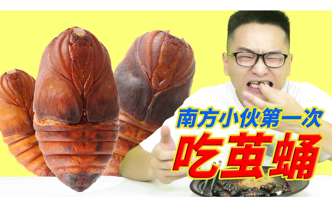 南方小伙吓得都结巴了,一道来自东北的霸气硬菜——茧蛹子