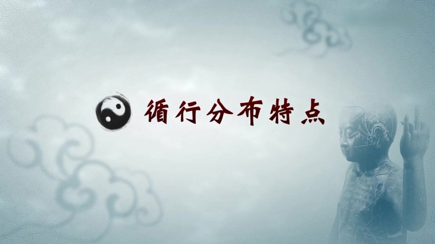 奇经八脉的循行分布特点