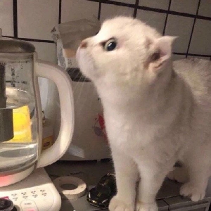 一壶浊酒恋人间 