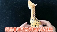 纸宝非洲动物高傲的长颈鹿#纸模亲子手工纸模型纸雕#绝美#模型#...