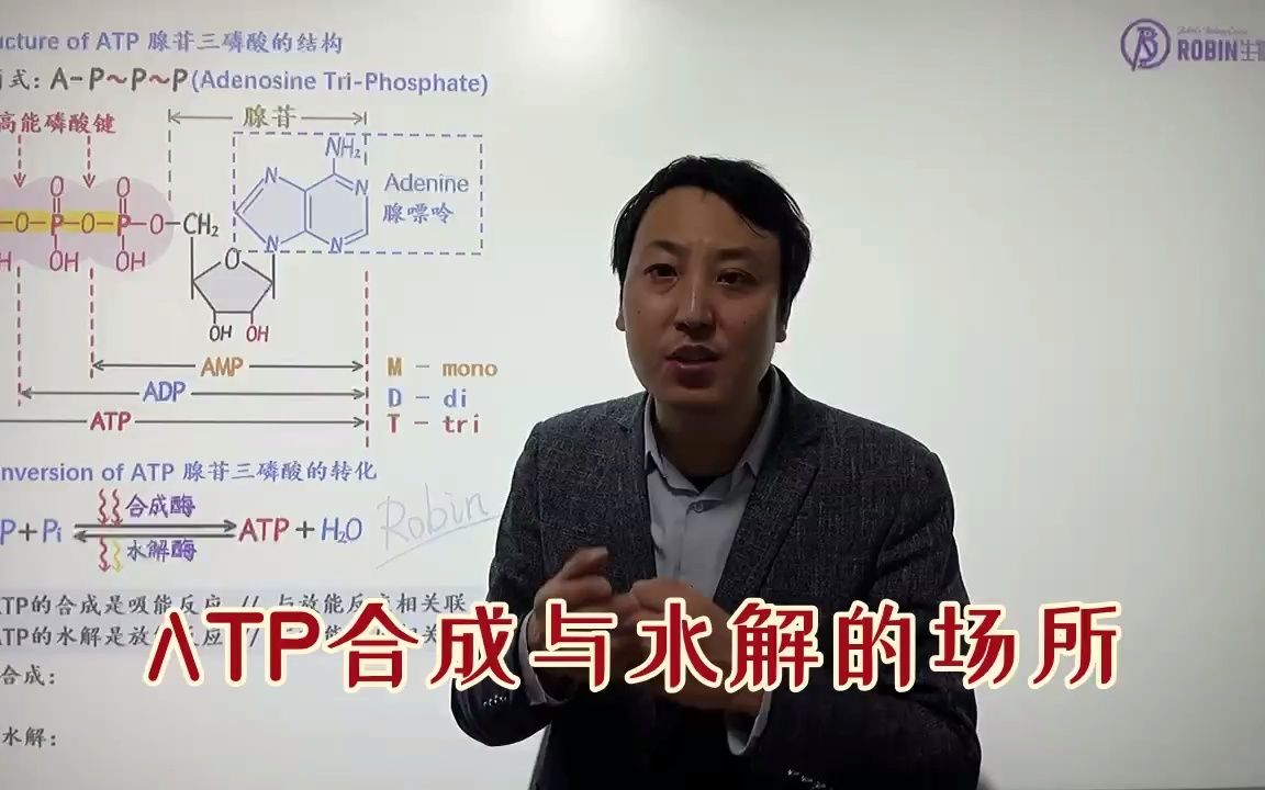 075 ATP合成与水解的场所 高中生物 必修一 第5章