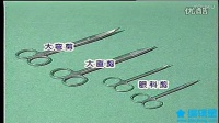 WL动物实验基本手术操作技术