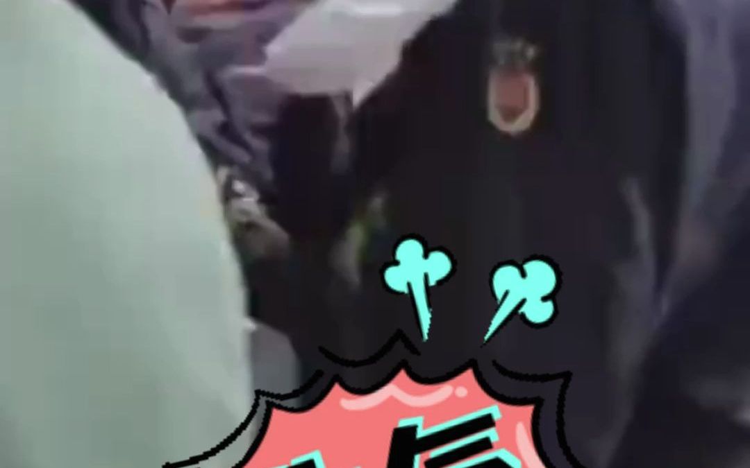 网传苏州城管打人,官方回应:涉事工作人员已被停职!