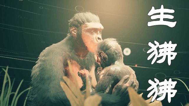 狒狒模拟器:第一次生狒狒,小家伙很聪明,刚出生就会跳舞