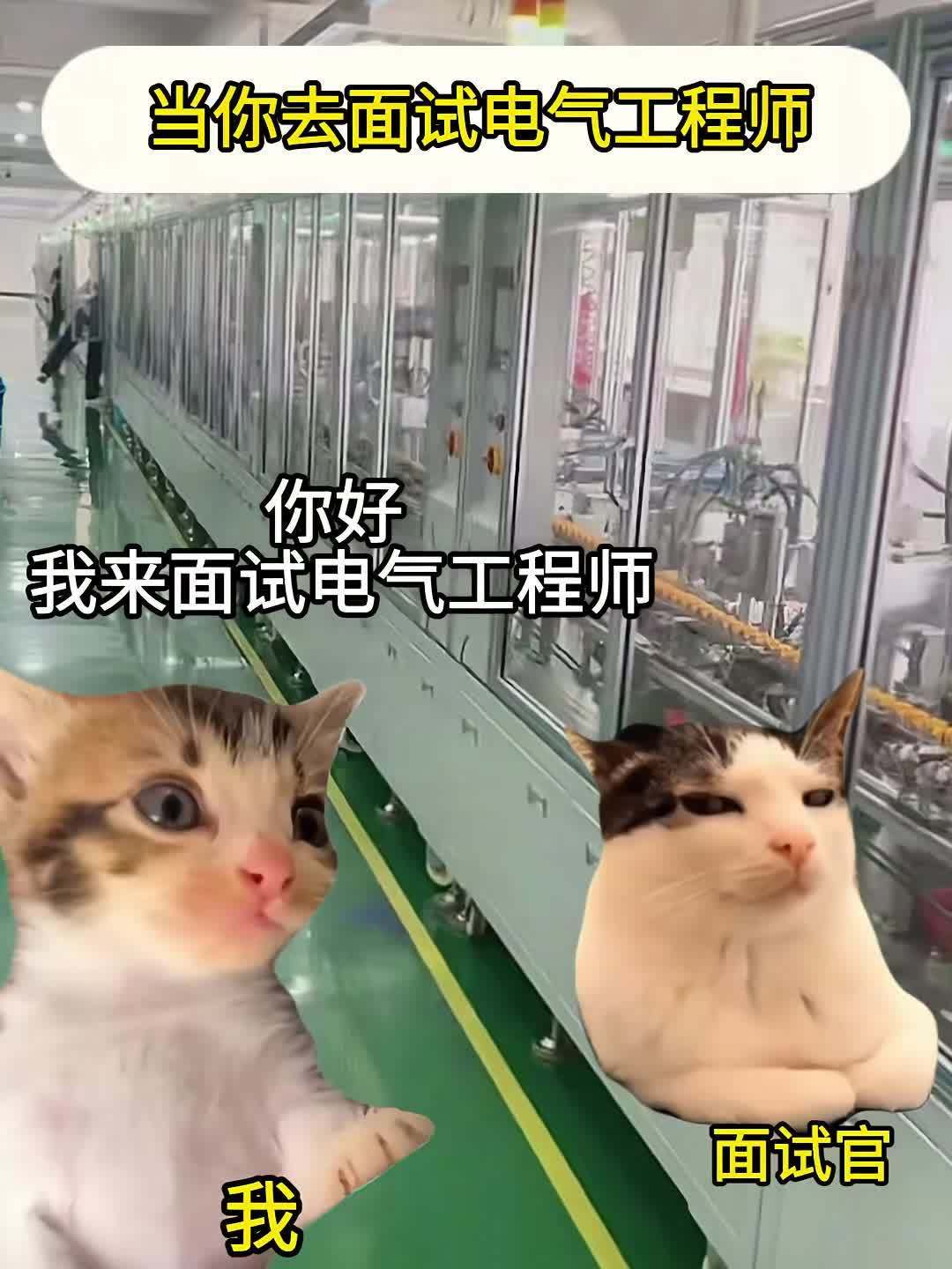 只有电气工程师才知道这个人才的含金量!