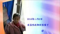 双语小学一年级社会实践活动