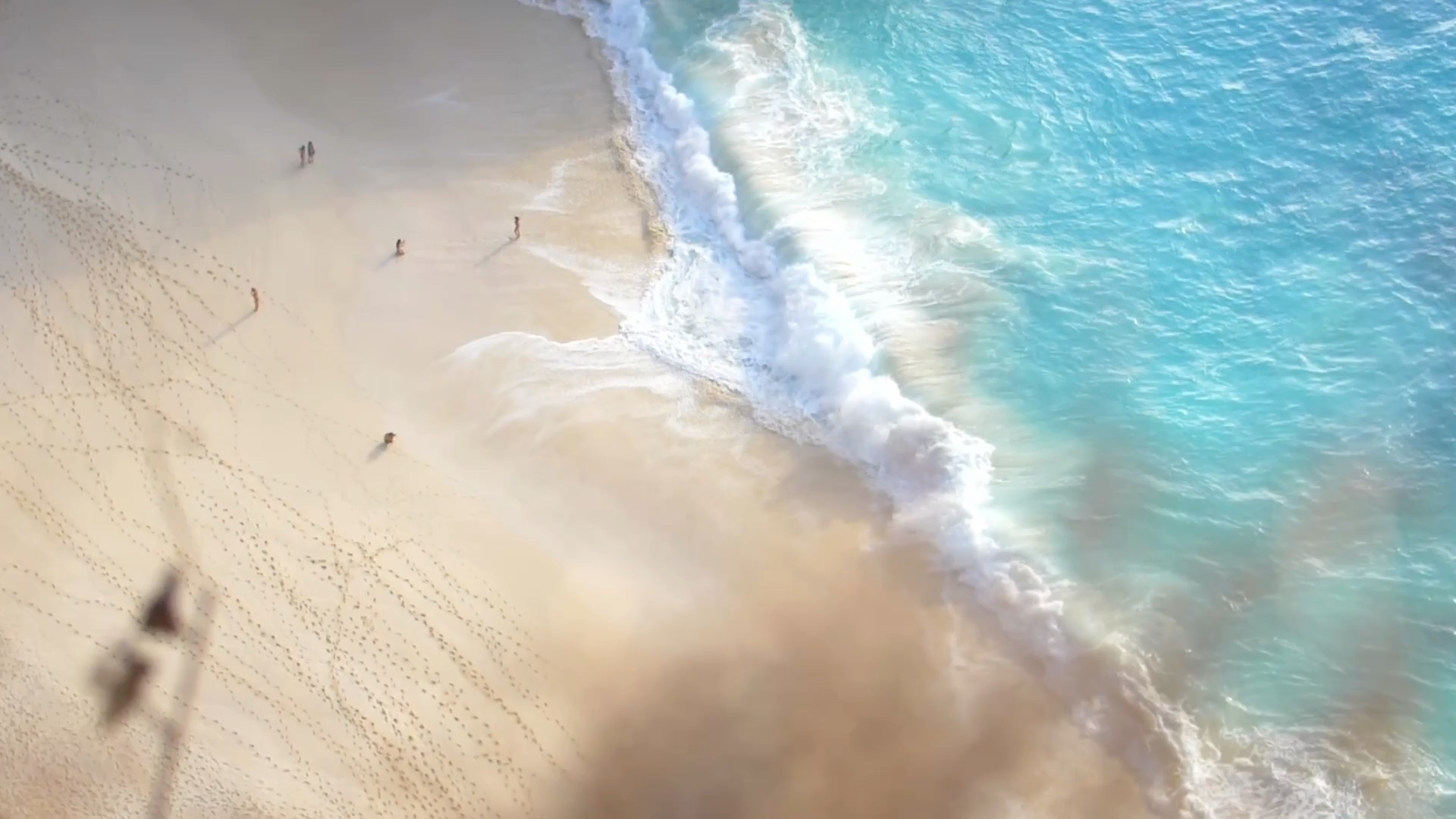 价值与价格的关系