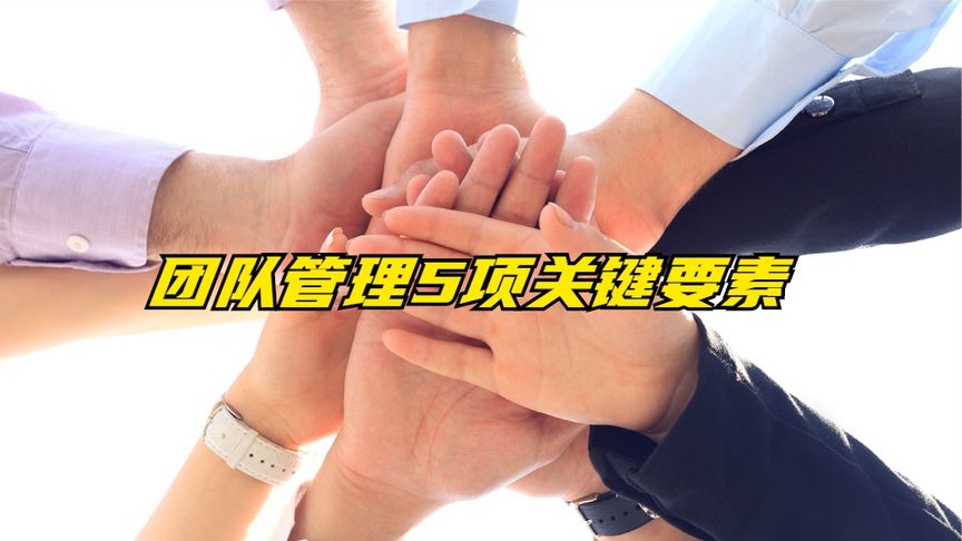 团队管理的5项关键要素