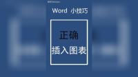 学习记录: word正确图表应该这样做
