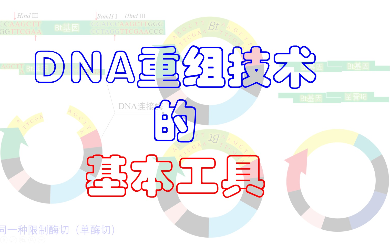 选择性必修3第三章第1节:重组DNA技术的基本工具(新教材新授课)