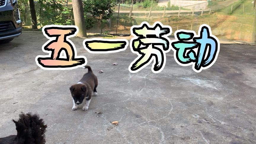 五一劳动节,劳动最快乐