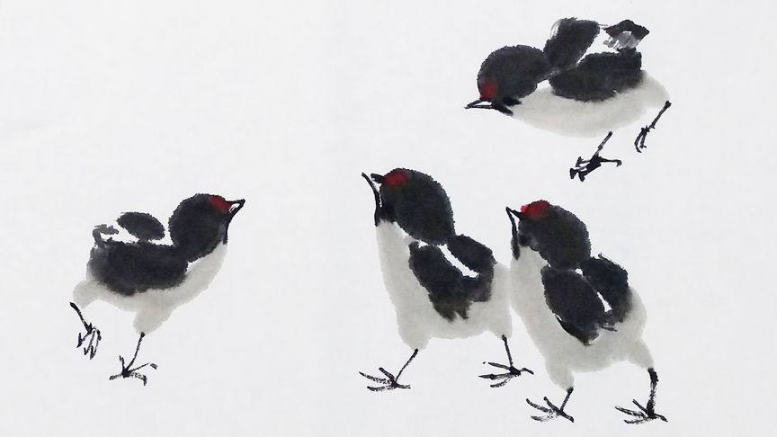 国画起步原倍速写意画小鸡的画法