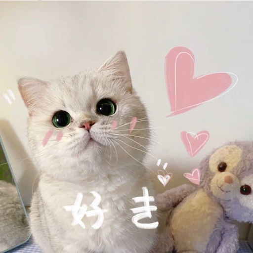 四个月亮的夜穿戴甲 