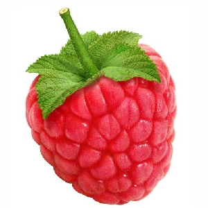 RaspStudio 