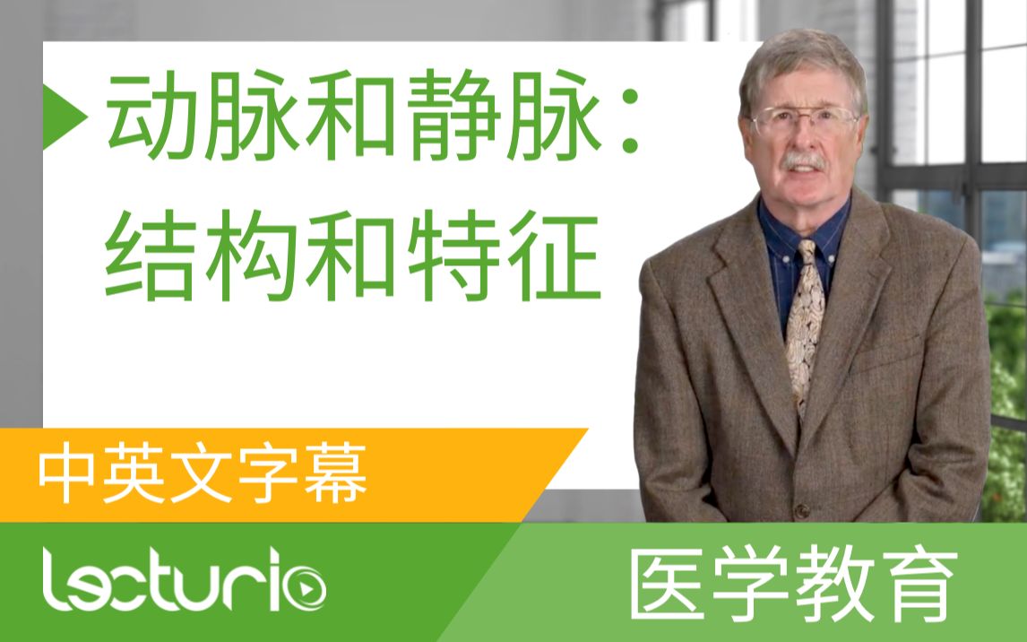 [Lecturio医学教育] 动脉和静脉:结构和特征 - 心血管病理学 (中英文字幕)