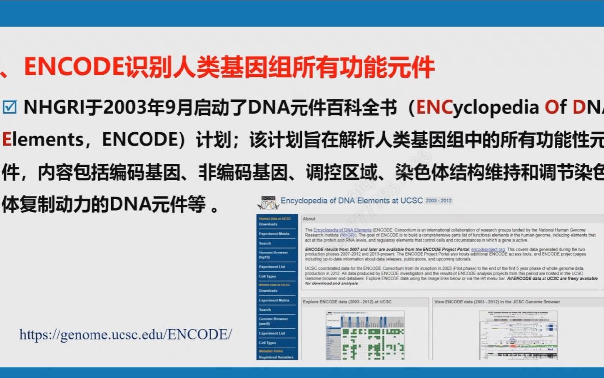 比较基因组学鉴别基因组的相似性和差异性