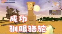 迷你世界单人生存10 搜遍沙漠得到仙人掌果实,成功驯服骆驼!