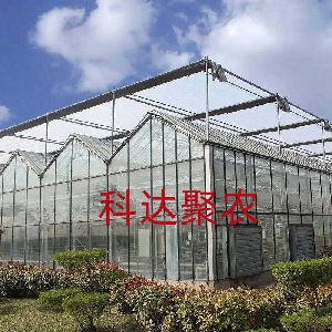 科达聚农 