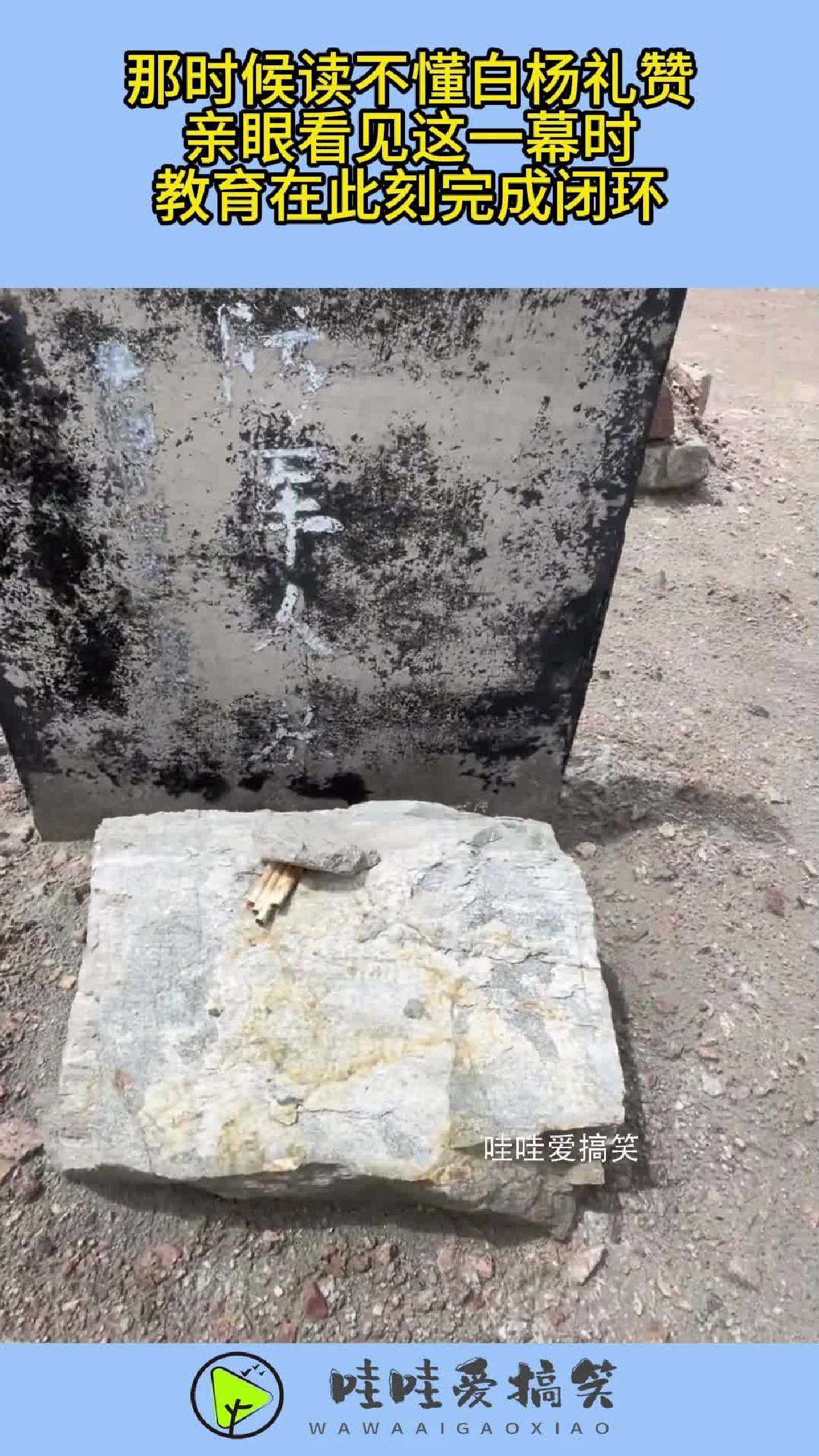 那时候读不懂白杨礼赞,亲眼看见这一幕时,教育在此刻完成闭环!
