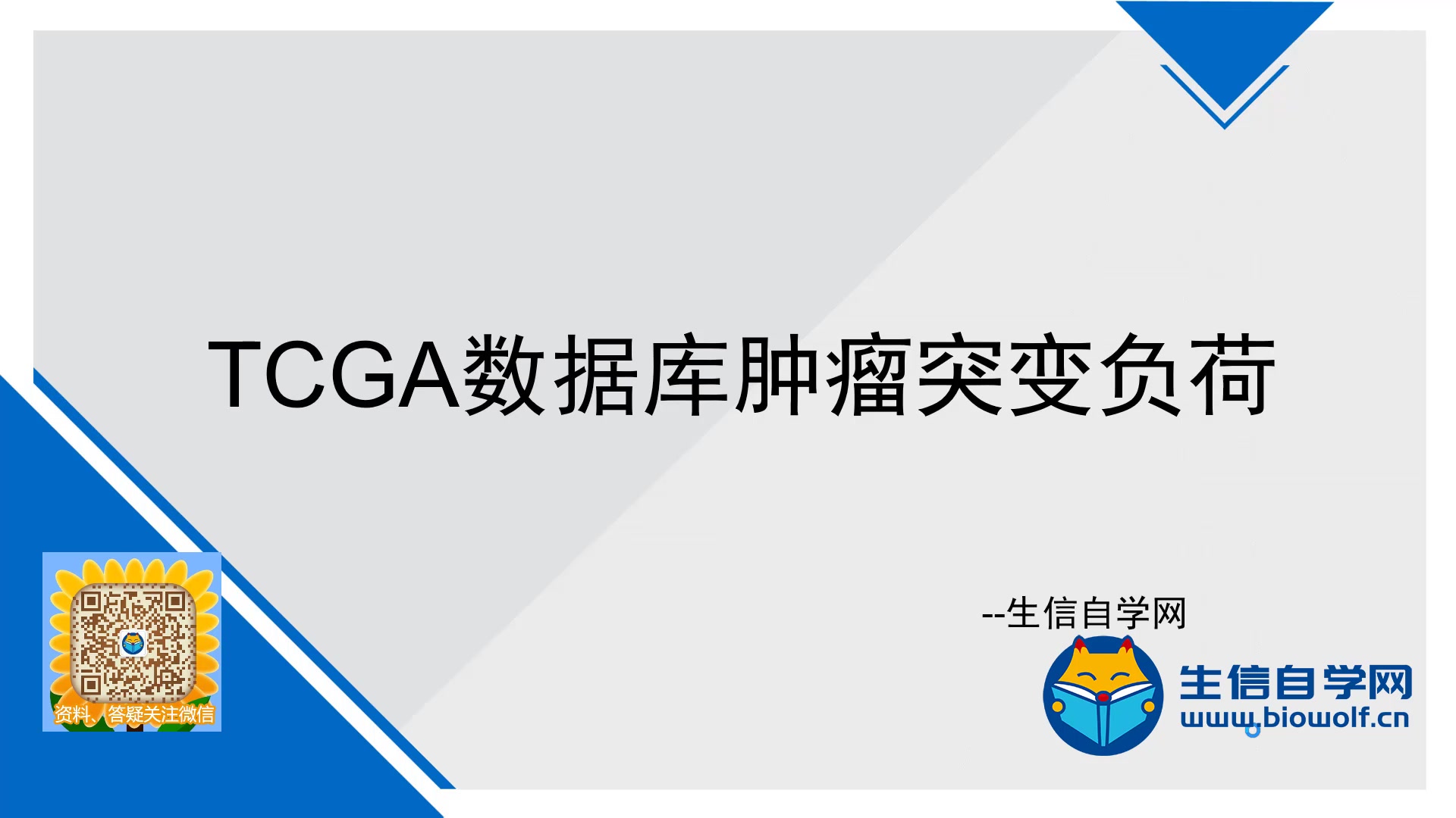 TCGA数据库挖掘突变负荷TMB分析生物信息学