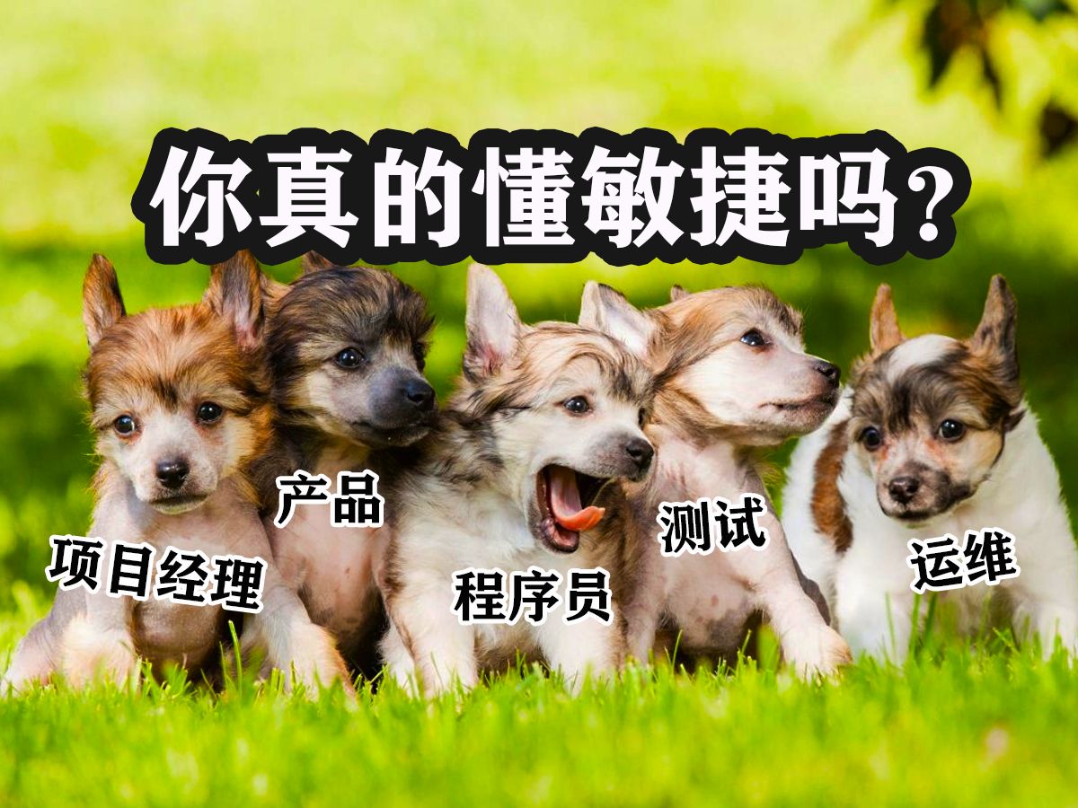 你真的懂敏捷吗?| 敏捷 | SCRUM
