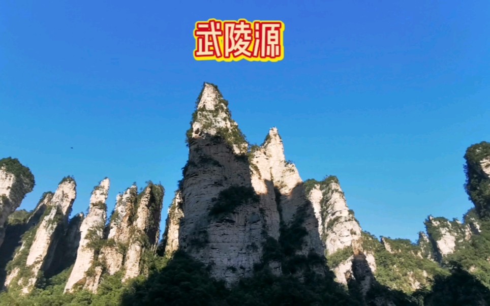 【张家界】-武陵源游记|天子山|杨家界|袁家界