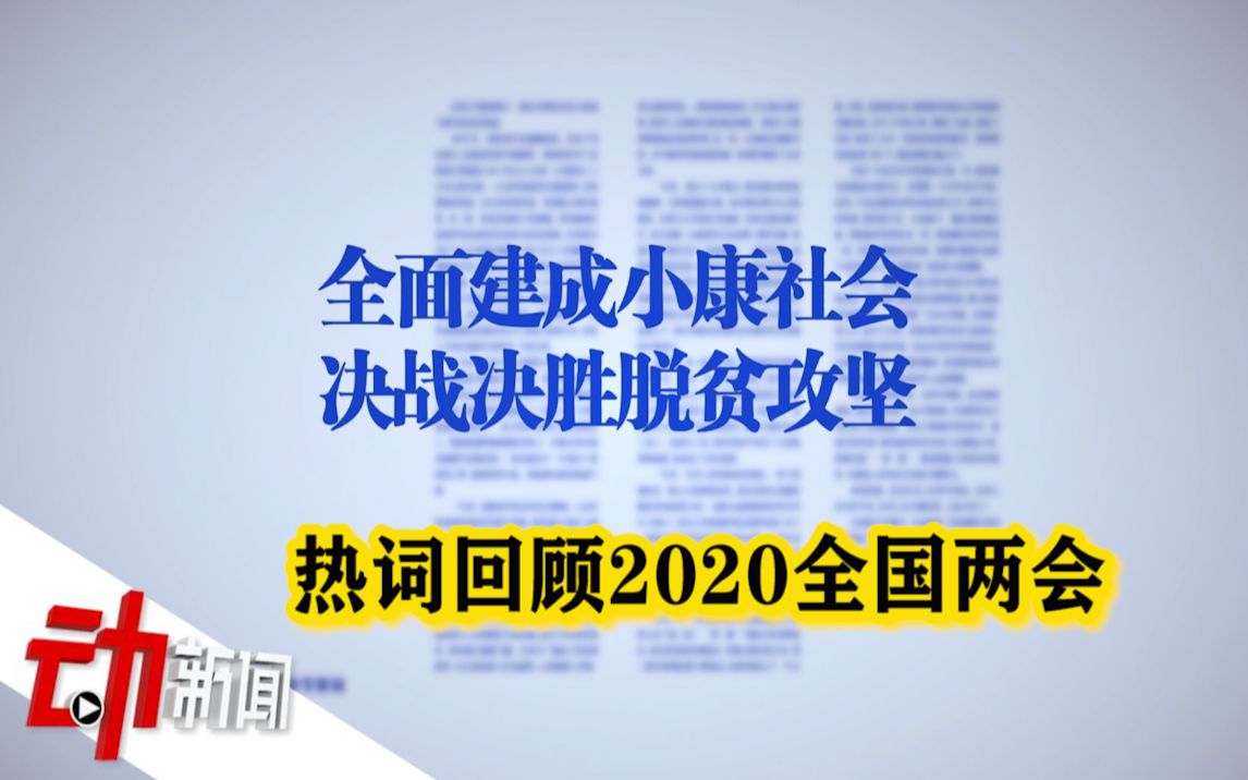 热词回顾2020年全国两会:疫情防控常态化 六稳六保 两新一重