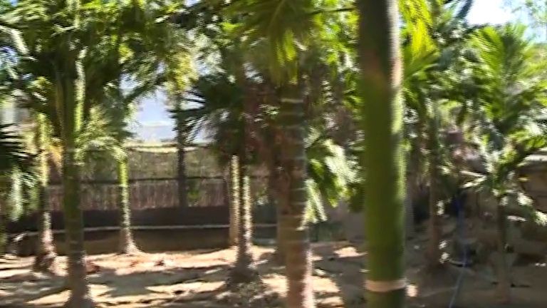 市法院强制执行一起排除妨害纠纷案