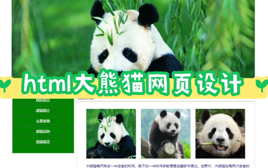 大熊猫html期末网页设计大作业 web静态网页制作成品模版5页