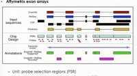 L08-1: 新一代测序技术数据分析 第八讲 RNA-seq III (I)