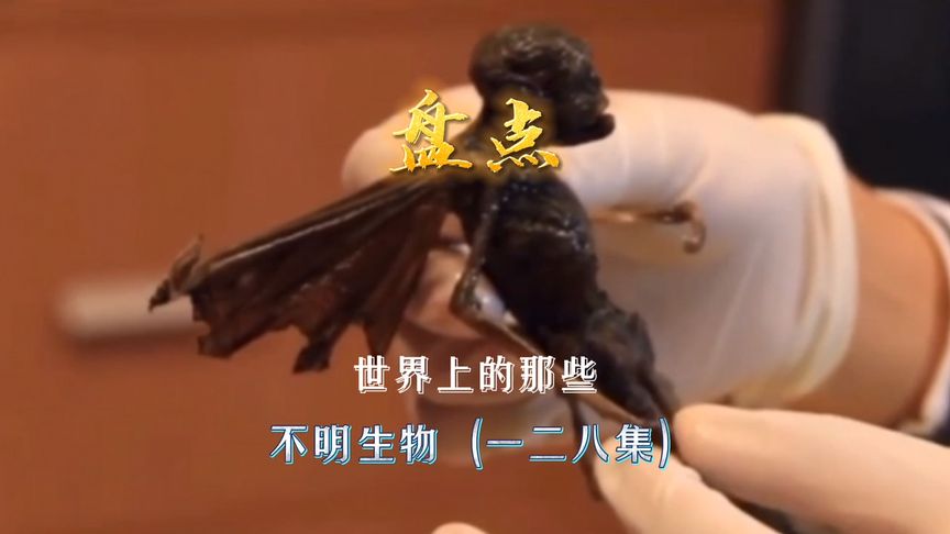 盘点世界上的那些不明生物128