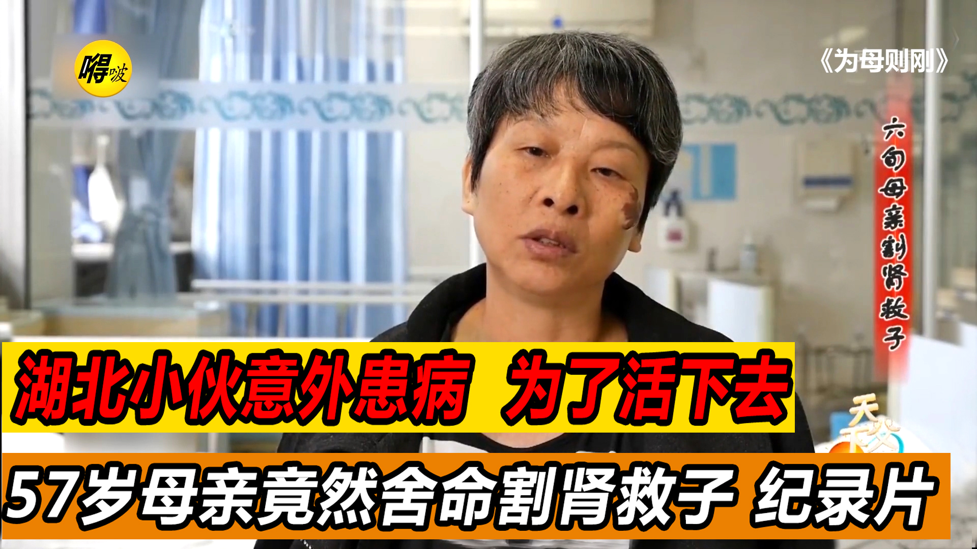 女子本弱,为母则刚,年近六旬的母亲,竟然要割肾救子,纪录片
