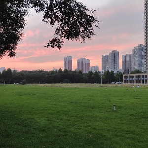 伍少歌 