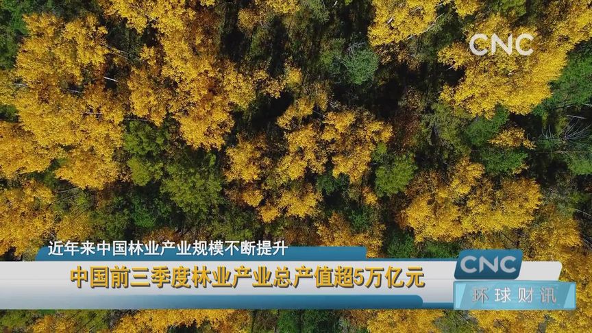 中国前三季度林业产业总产值超5万亿元