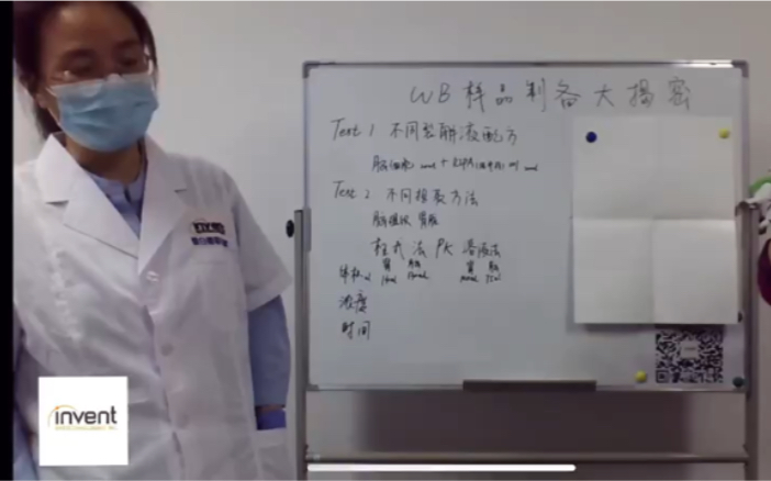 BCA测蛋白浓度需要加裂解液空白对照