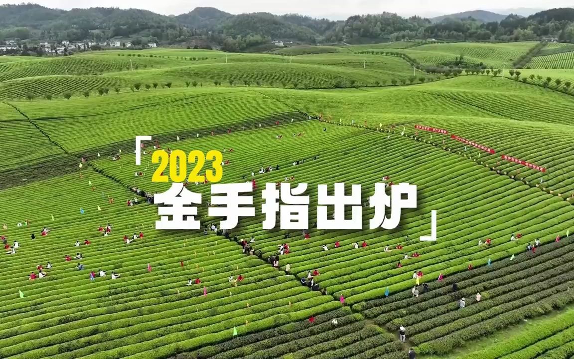 第十五届贵州茶博会 采茶金手指出炉