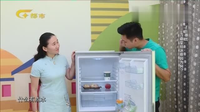 冰箱冷藏室经常结冰?终于知道什么原因了,朋友们一定要看!