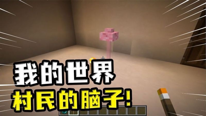 我的世界:末影珍珠还能这样用进入村民体内一探究竟