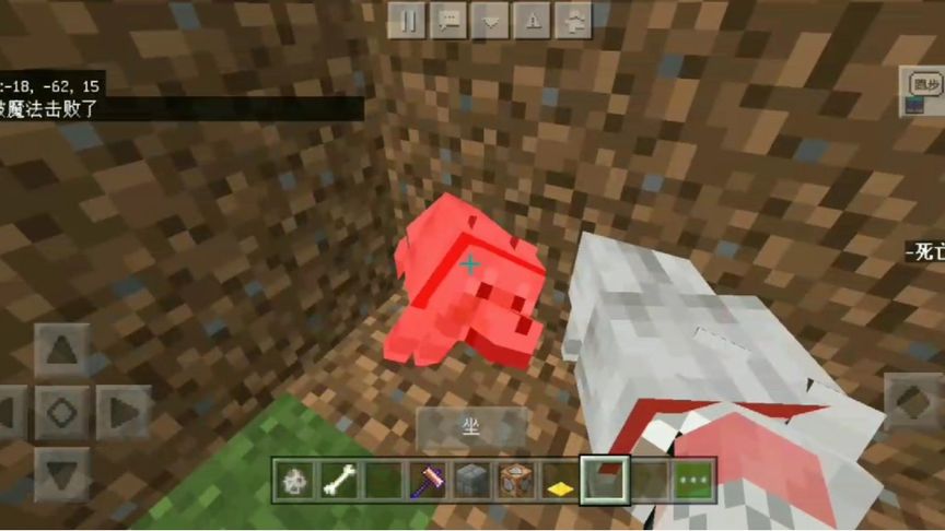 我的世界:这就是传说中的不死狗