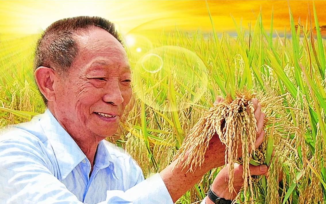 发展杂交水稻,造福世界人民