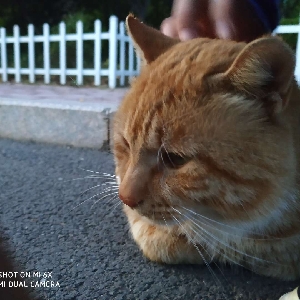 到账找回交易猫 