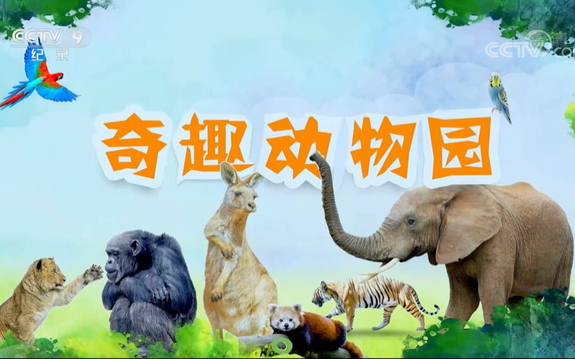 【央视】纪录频道CCTV-9《奇趣动物园》