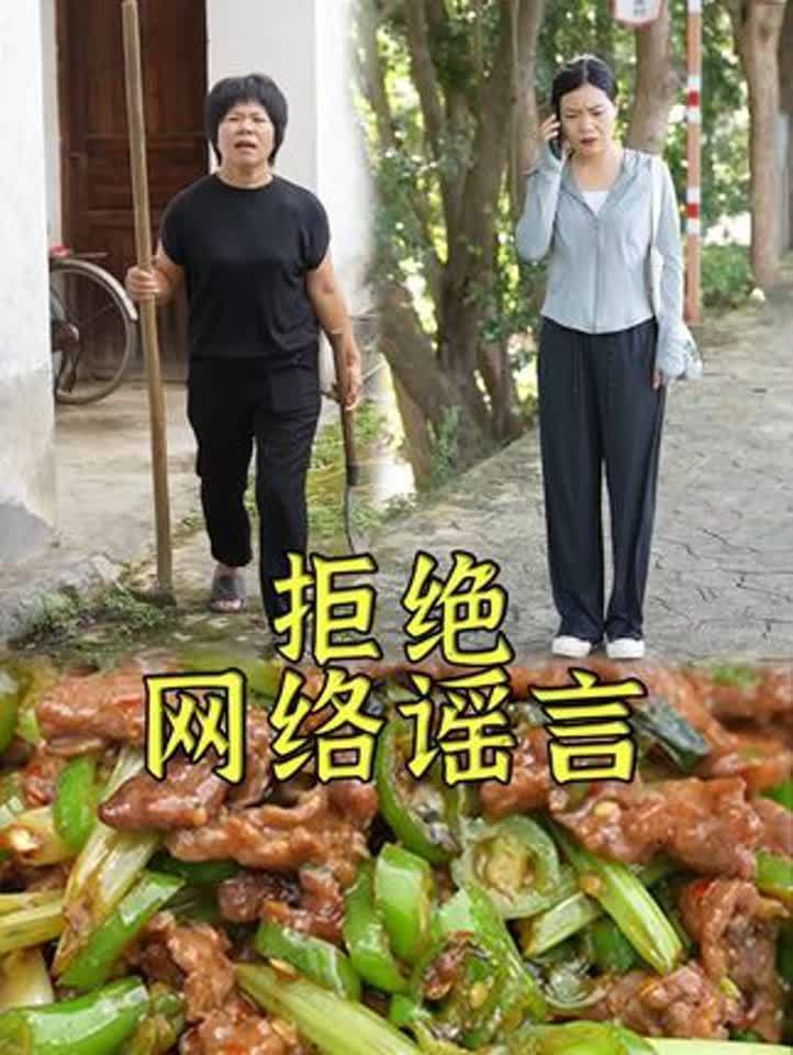 拒绝网络谣言,从我做起;传递正能量,共建和谐网络社会 婆媳日常